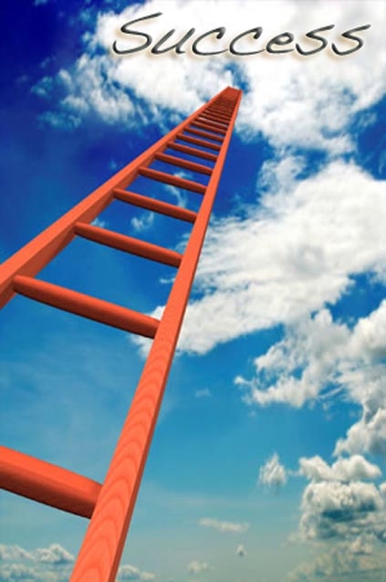 Donna L Martin's THE STORY CATCHER: Climbing The Success Ladder
