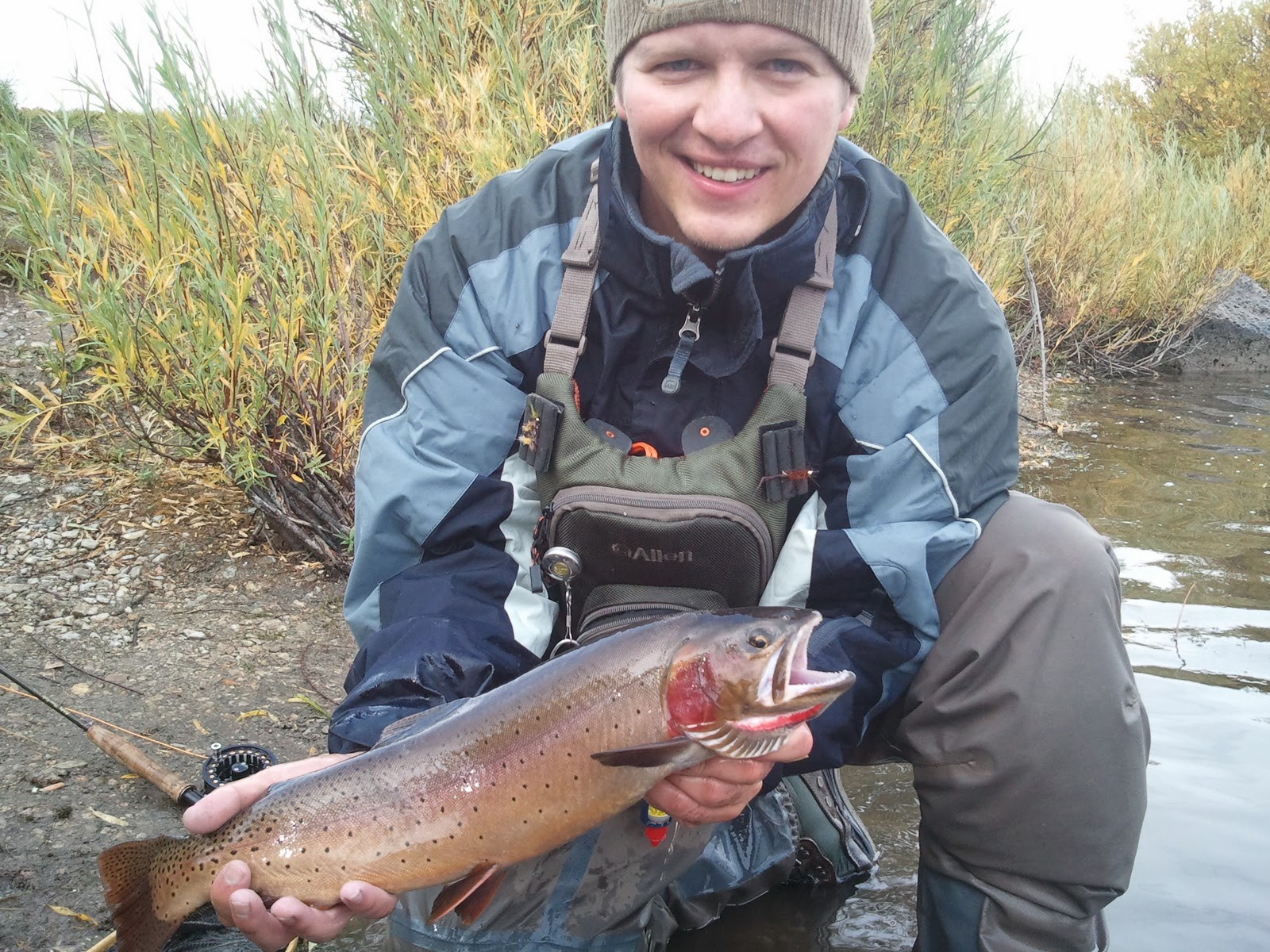 Central Pa Trout Bum: Henrys Lake Central Pa Trout Bum: Henrys Lake