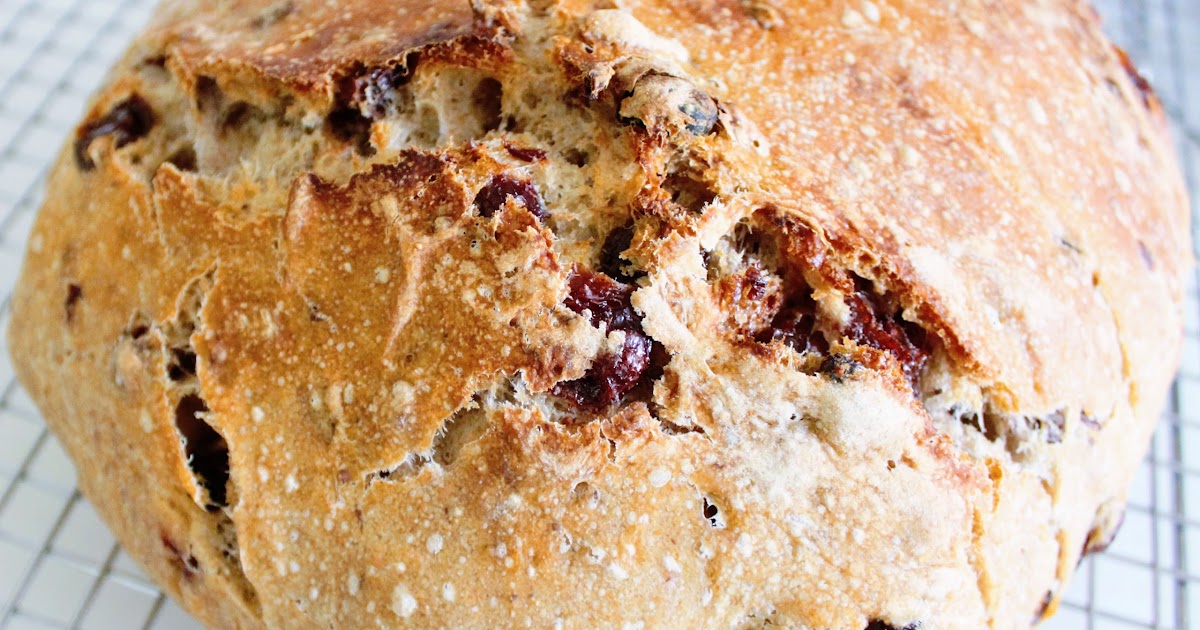 Crusty Cranberry Raisin Bread (No knead)