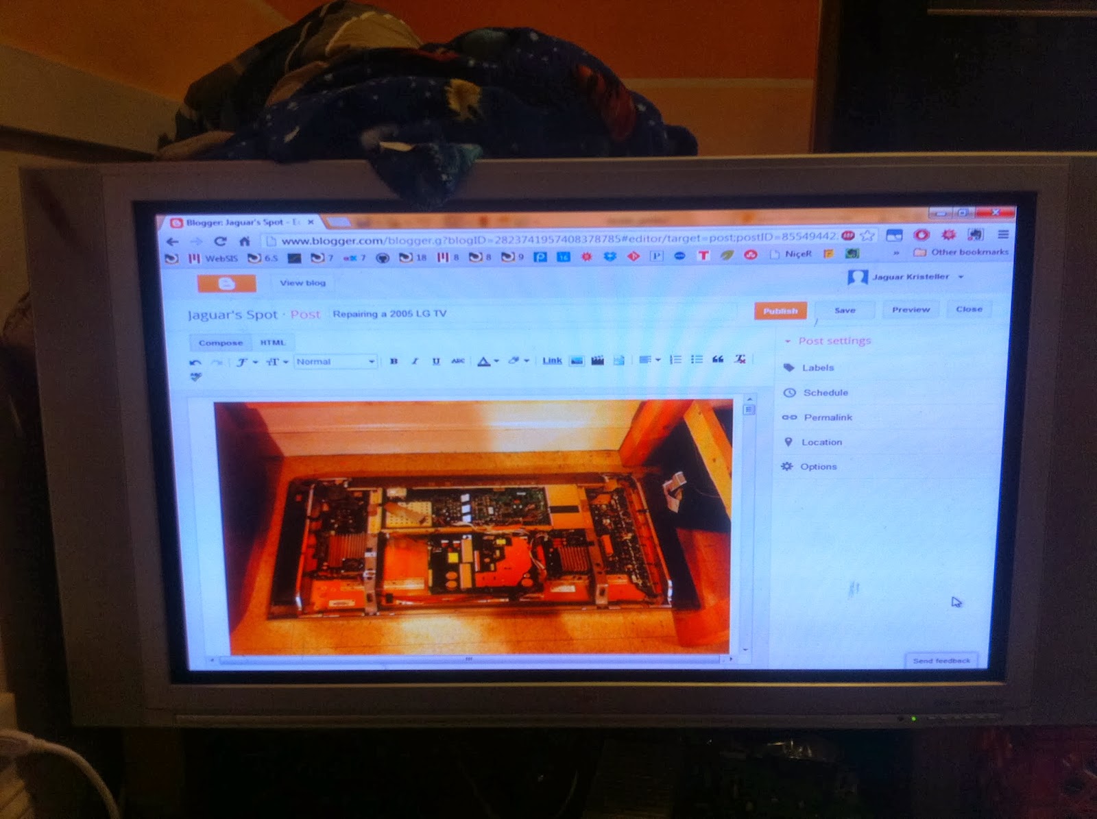 Jaguar's Spot: Repairing a 42" Plasma LG TV