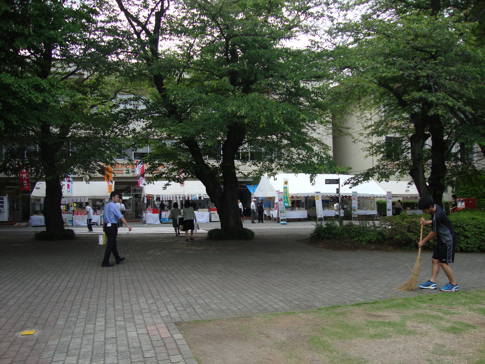 Life in Japan: The Rose Garden of Reitaku University