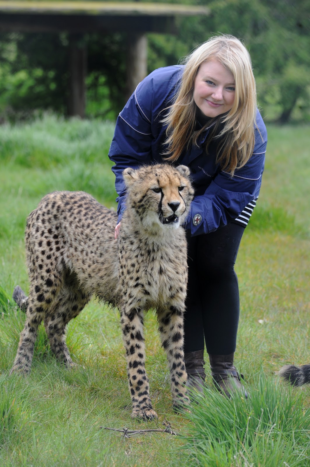 The Good Girl's Guide to Zoos