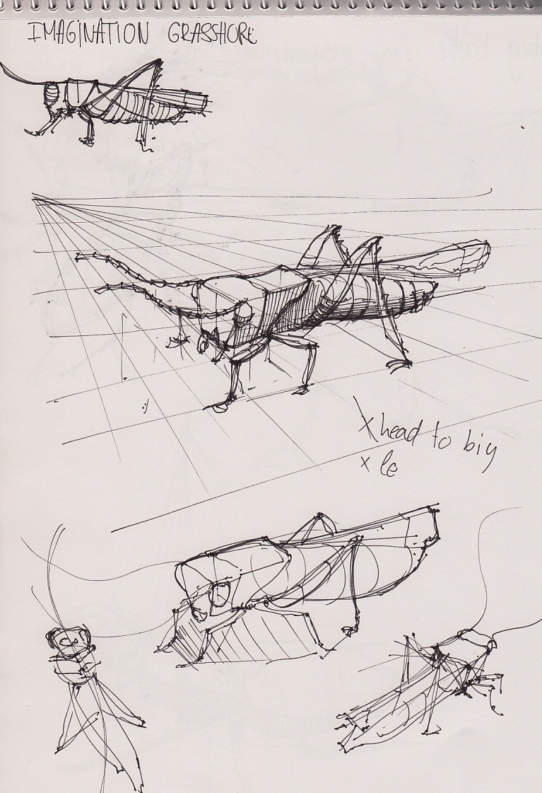 Louis learns to draw: Grasshopper