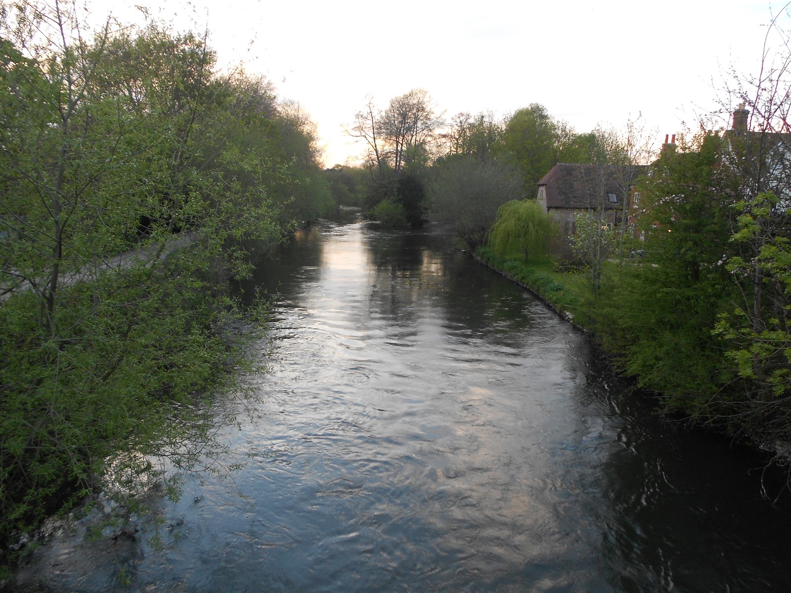 Nature Notes and Observations: Sadlers Mill - Romsey