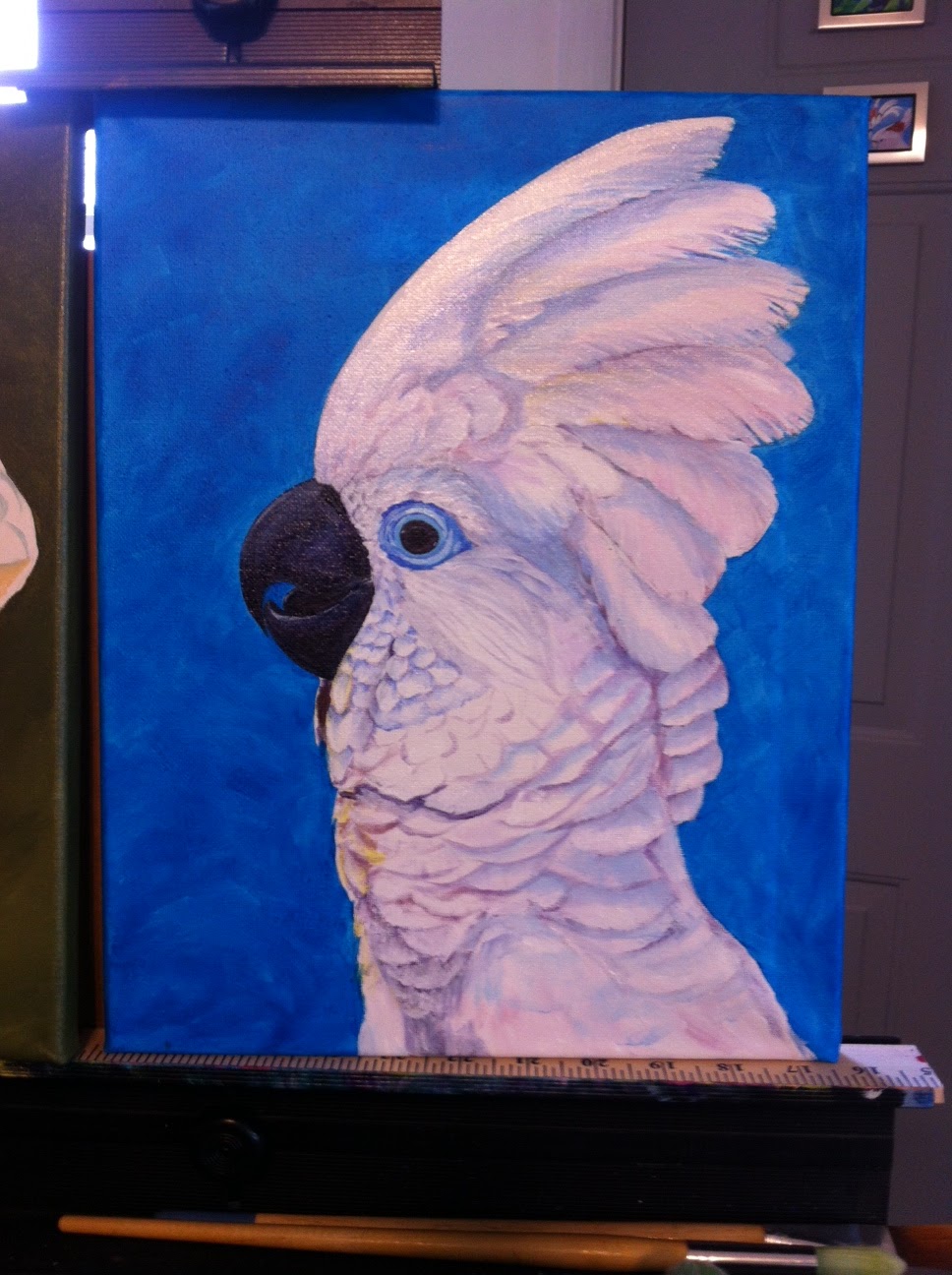 Tim Marsh Nature Artist