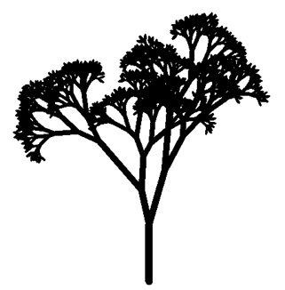 Árboles fractales con Turtle en Python