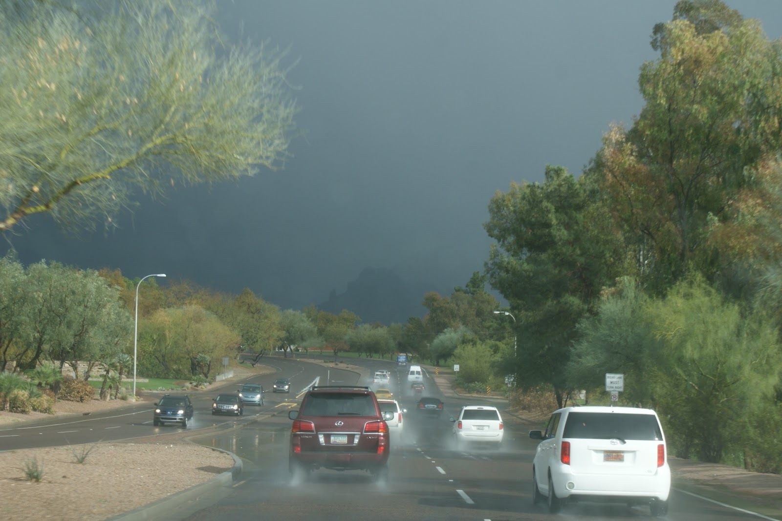 Reminisce...: ***SNOW IN PHOENIX***