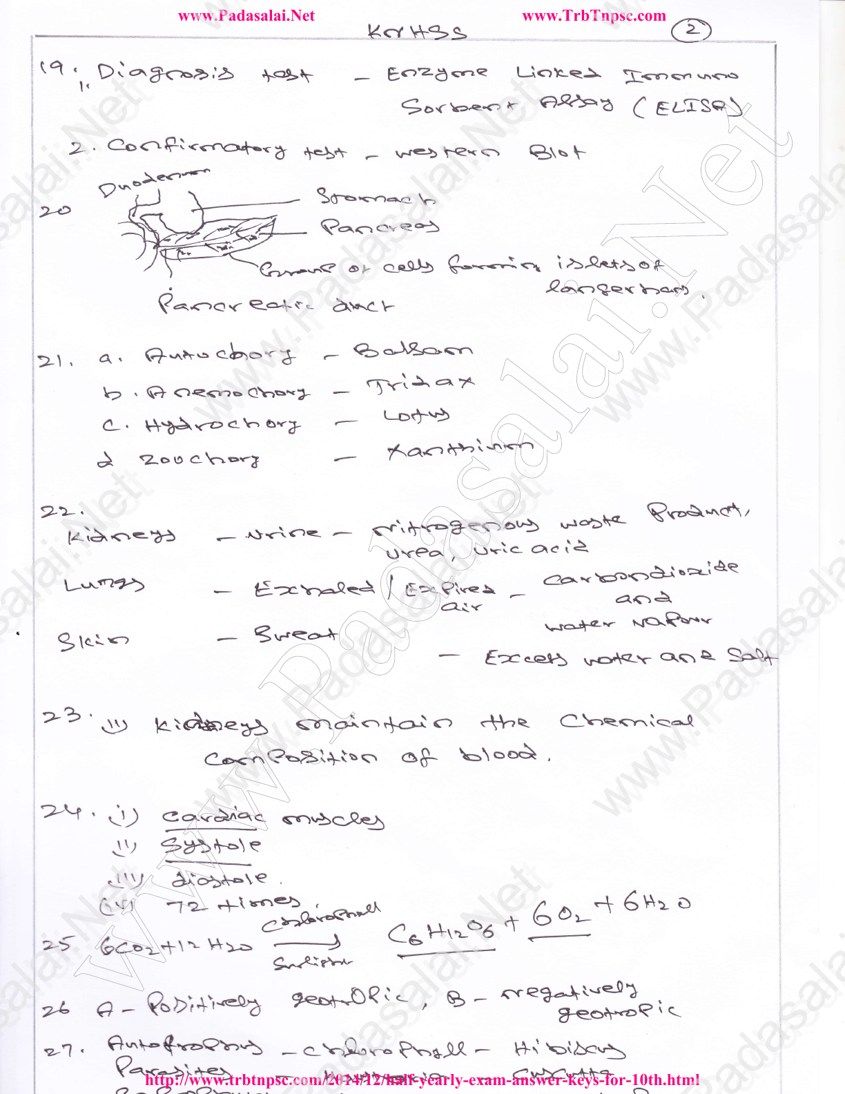 10th Science Half Yearly Exam Answer Keys English Medium 10th-science-half-yearly-exam-answer-keys-english-medium
