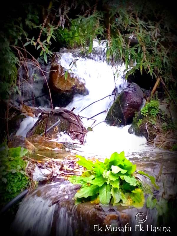 Ek Musafir Ek Hasina: Musafir & Hasina’s Great Kullu Adventure Part 2 ...