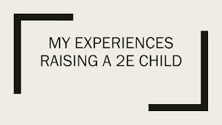 My Experiences Raising a 2E Child