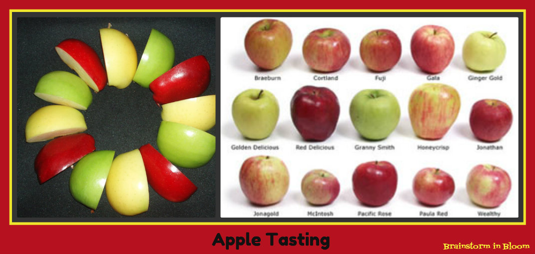 Brainstorm in Bloom: Apples (Bouquet Event)