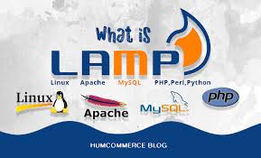 PENGERTIAN DAN PENGENALAN LAMP ( linux, apache, mySQL, php)