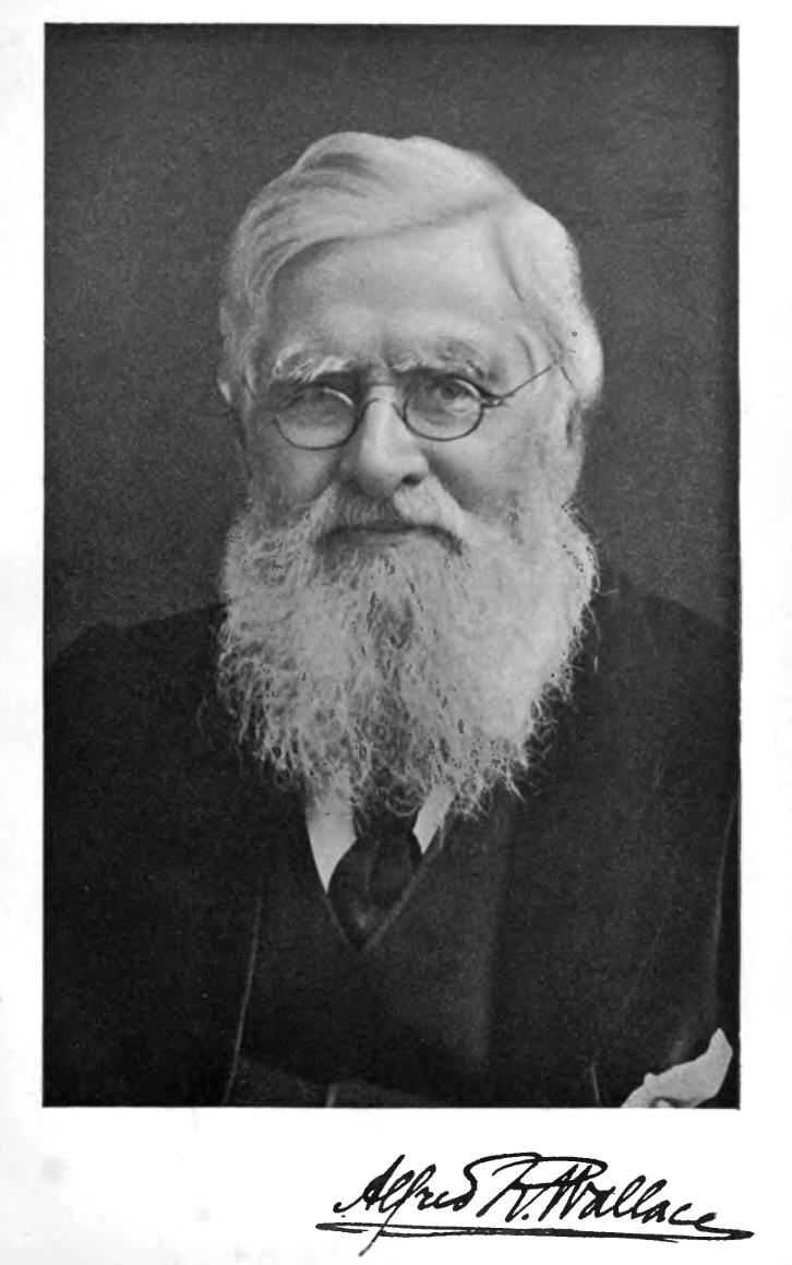 Teori evolusi Alfred Russel Wallace - LingkaranDunia