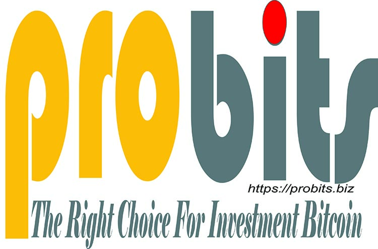 ALL ABOUT PROBITS BIZ