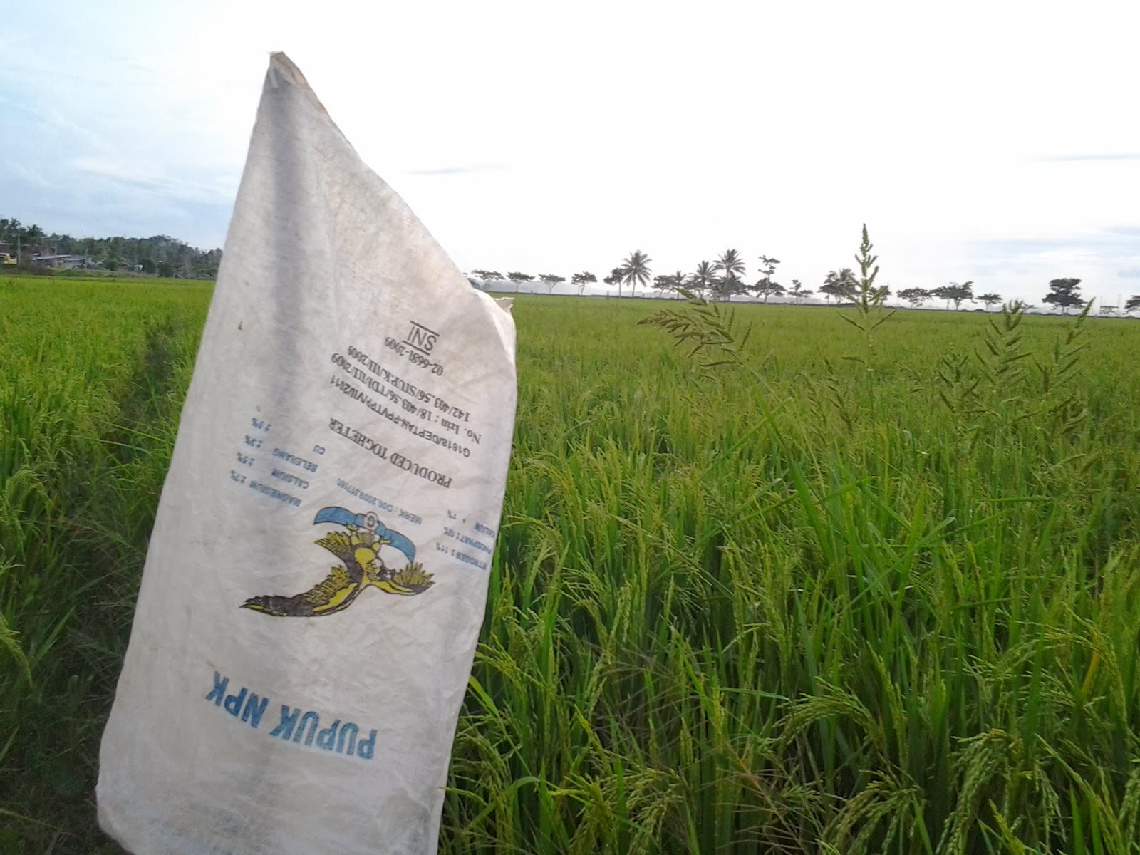 Distributor Pupuk NPK- Garuda Mas Propinsi Aceh