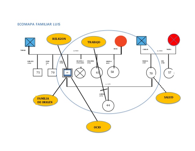 ECOMAPA FAMILIAR: Definiendo Ecomapa Familiar