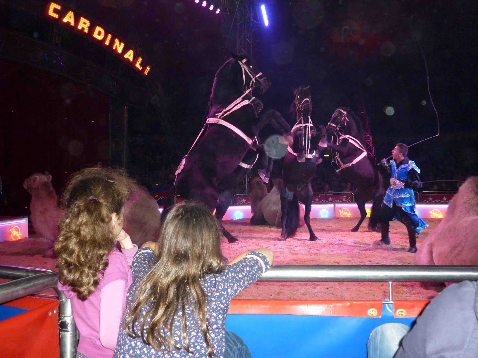 LISBOA S.O.S.: Circo Victor Hugo Cardinali