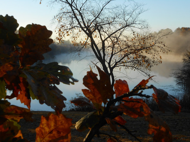 The Lucas Countyan: Sunday morning rises at Red Haw State Park