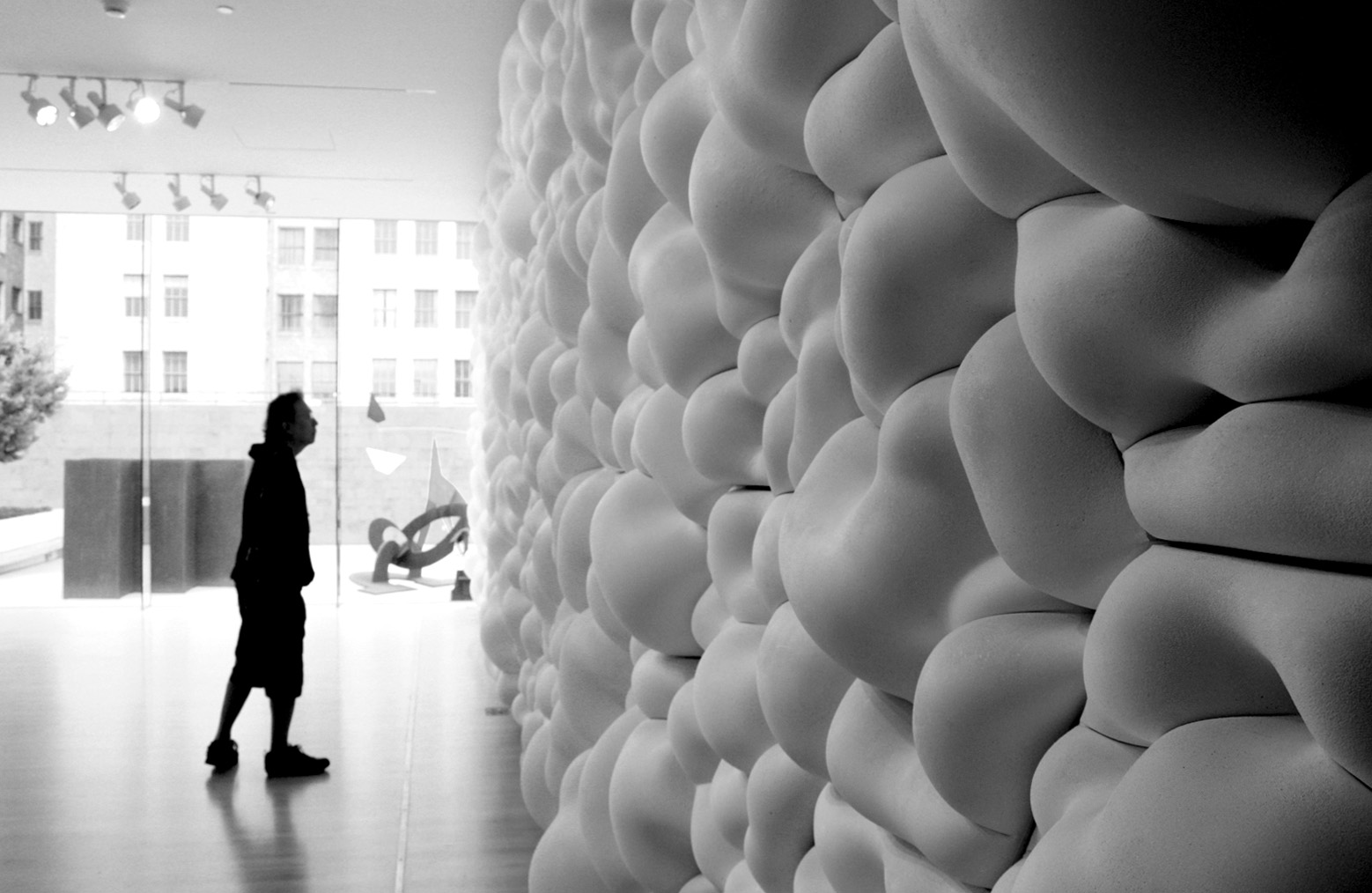 Carles Faus: P_WALL by Andrew Kudless