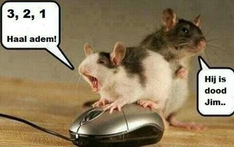 My Fun and easy way to learn Dutch!: De Leukste Moppen over DIEREN