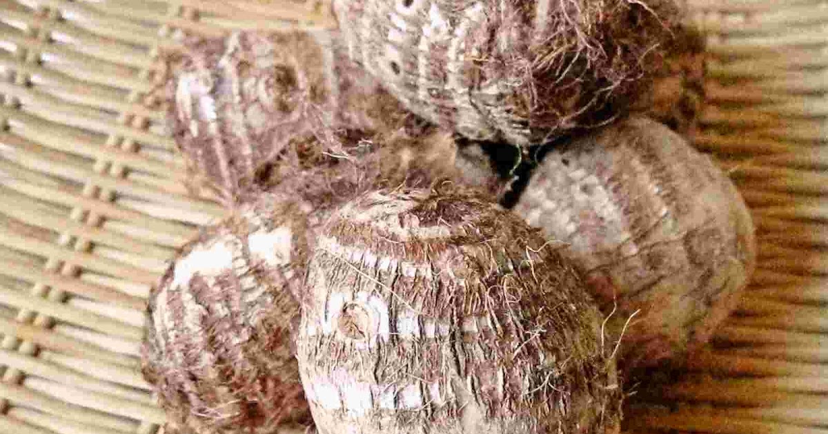 Recipes for Tom: Satoimo baby taro roots