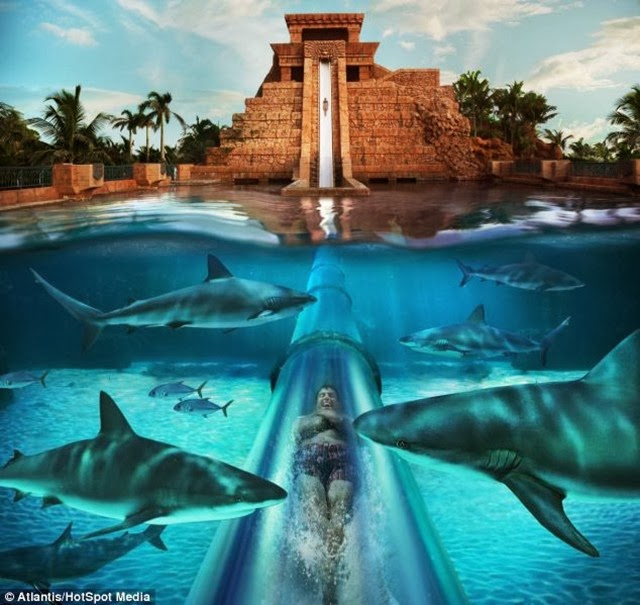 The Mayan Temple water slide in the Bahamas - Ye Kya Chutiyapa Hai