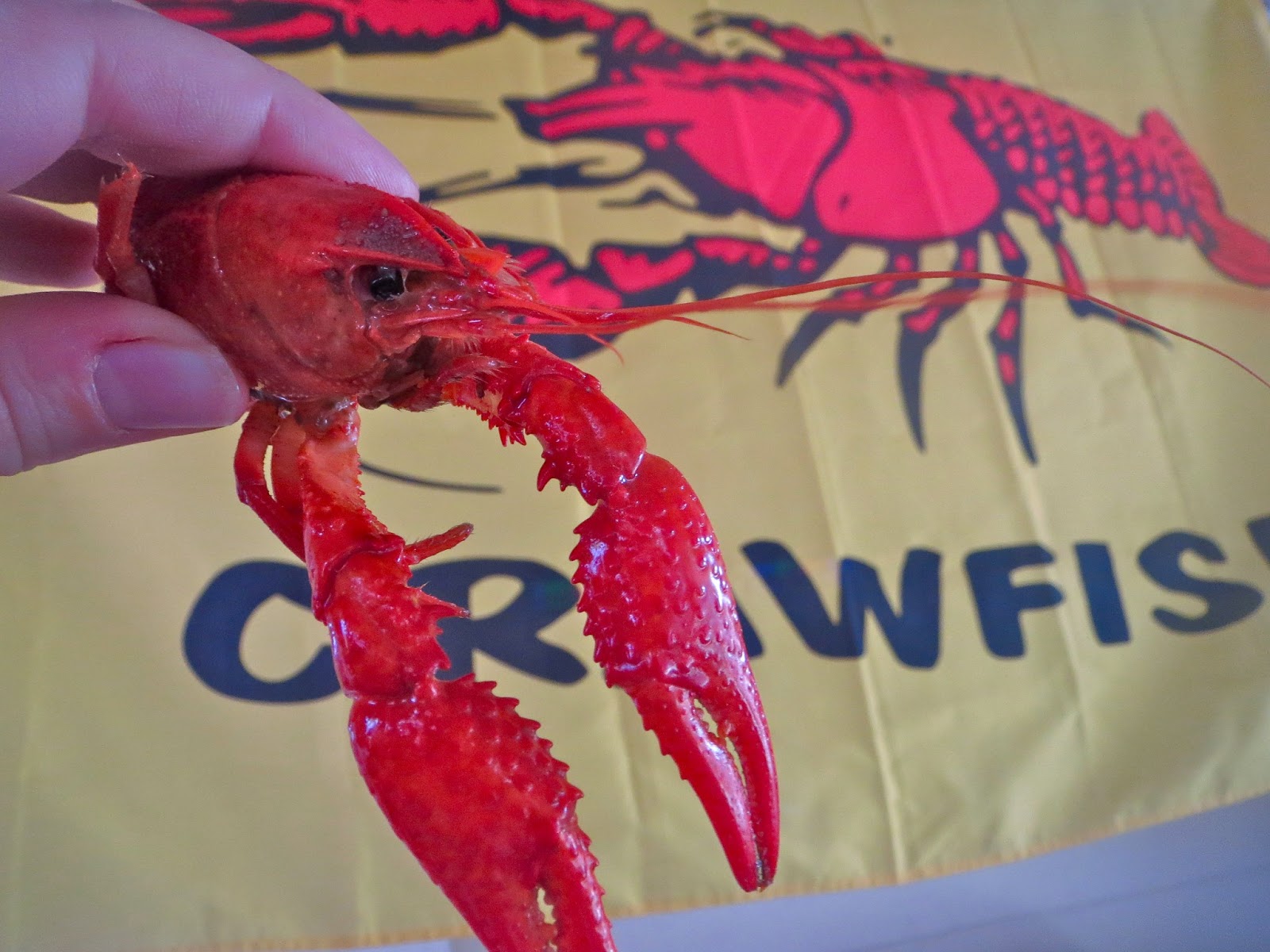 Kick-Ass Crawfish Festival Fun: A Guide to Throwing the Ultimate Cajun ...