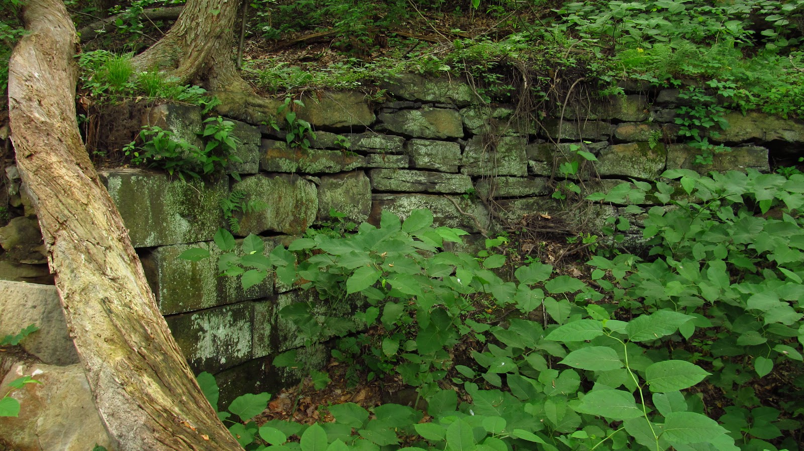Old Industry of Southwestern Pennsylvania : A Trip Through Packsaddle Gap