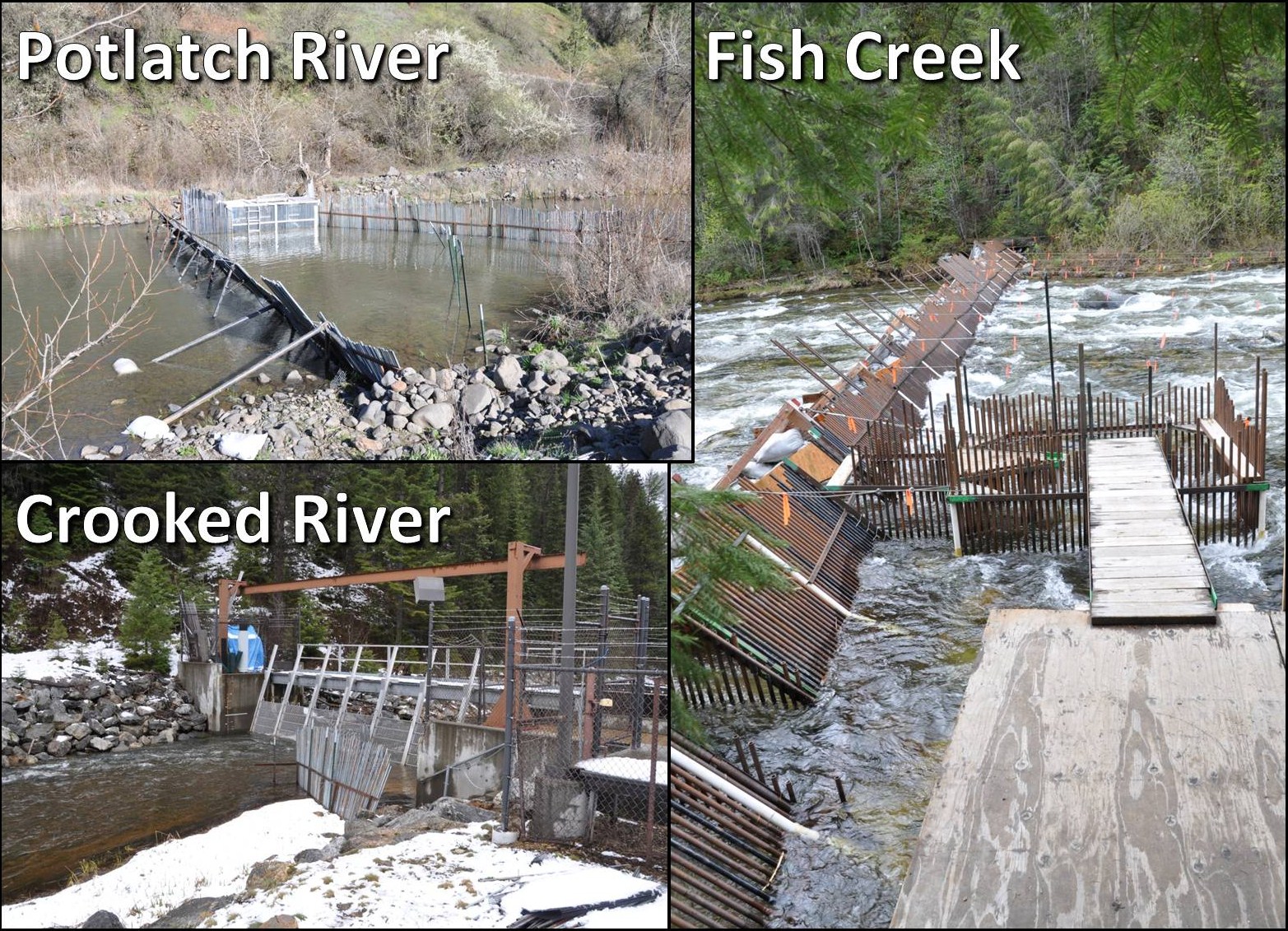 Bryanlikestofish: What's in a thesis?