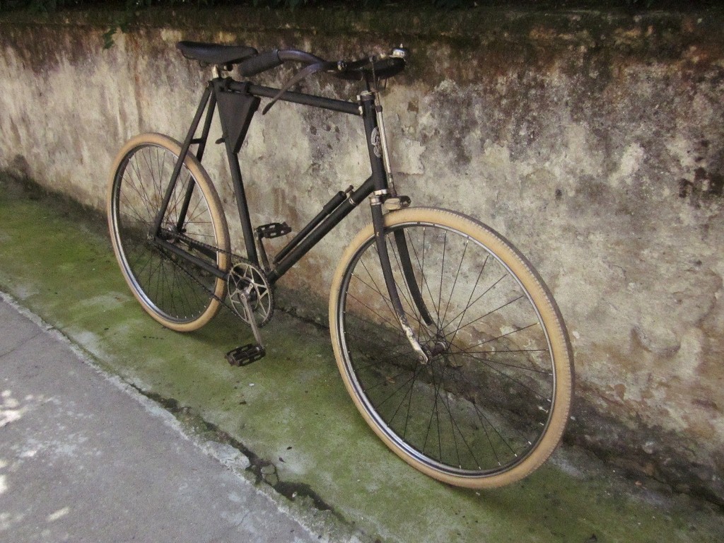paramanubrio: Steyr 1901