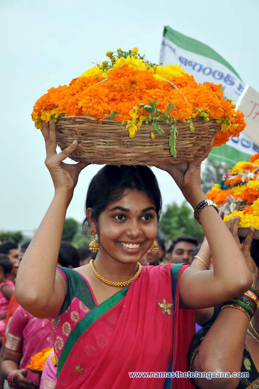 REDDYs: telugu people treditional pics