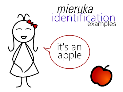Mieruka: More Examples - Identification | K Bulsuk: Full Speed Ahead