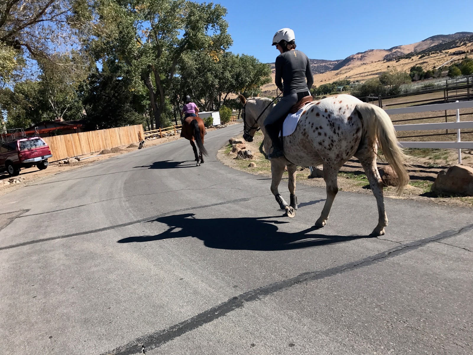 wild horse ride - Addison Wilhite