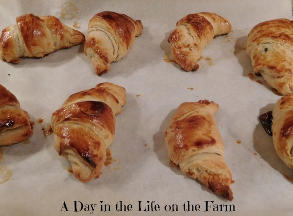 A Day in the Life on the Farm: Chocolate Croissants for Foodie Extravaganza