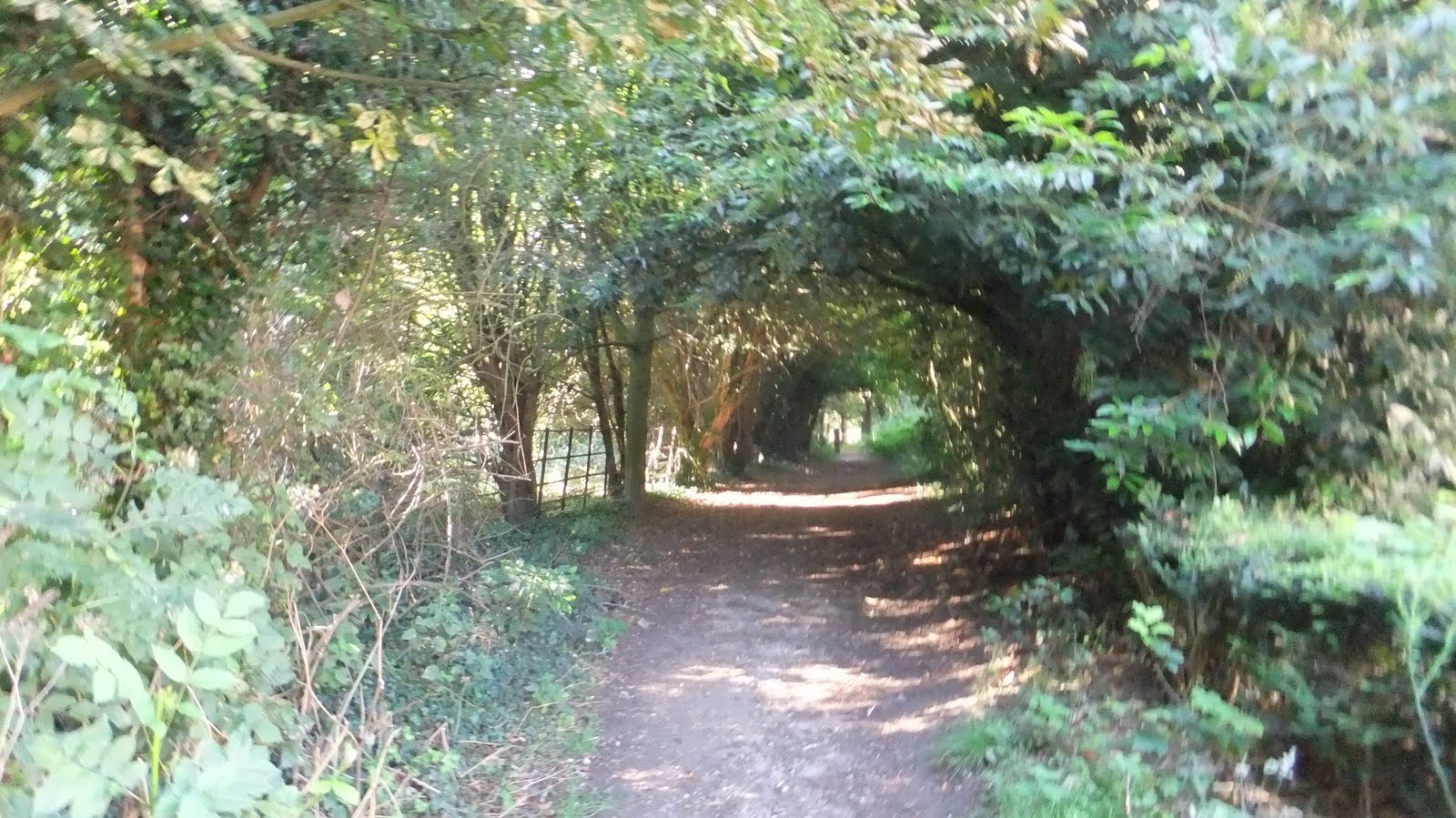THREADADDICT: Belstead House CQ Summer School weekend