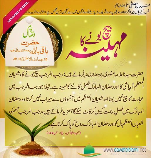 all awesome wallpapers: Madani Phool 124 pics