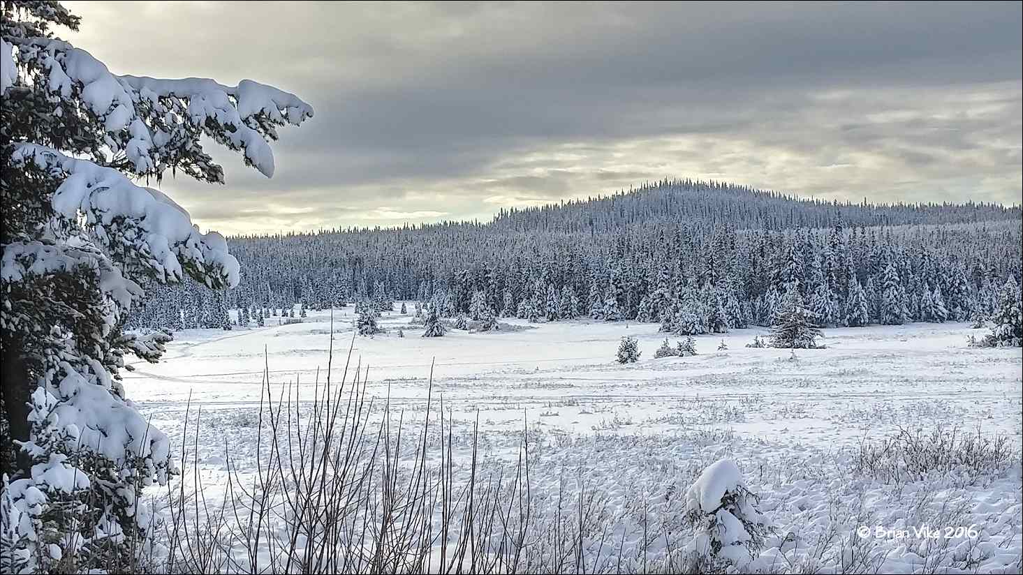 Northern Interior British Columbia: Winter's December 2015 Snowfall ...