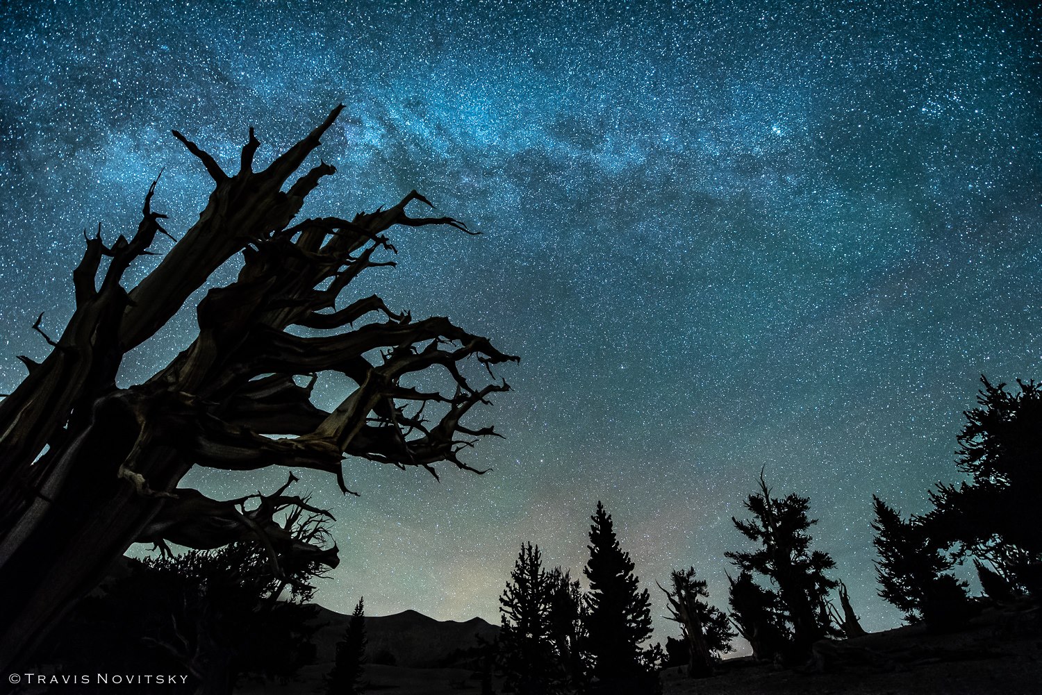 Photography by Travis Novitsky - Photo Journal: November Night Sky ...