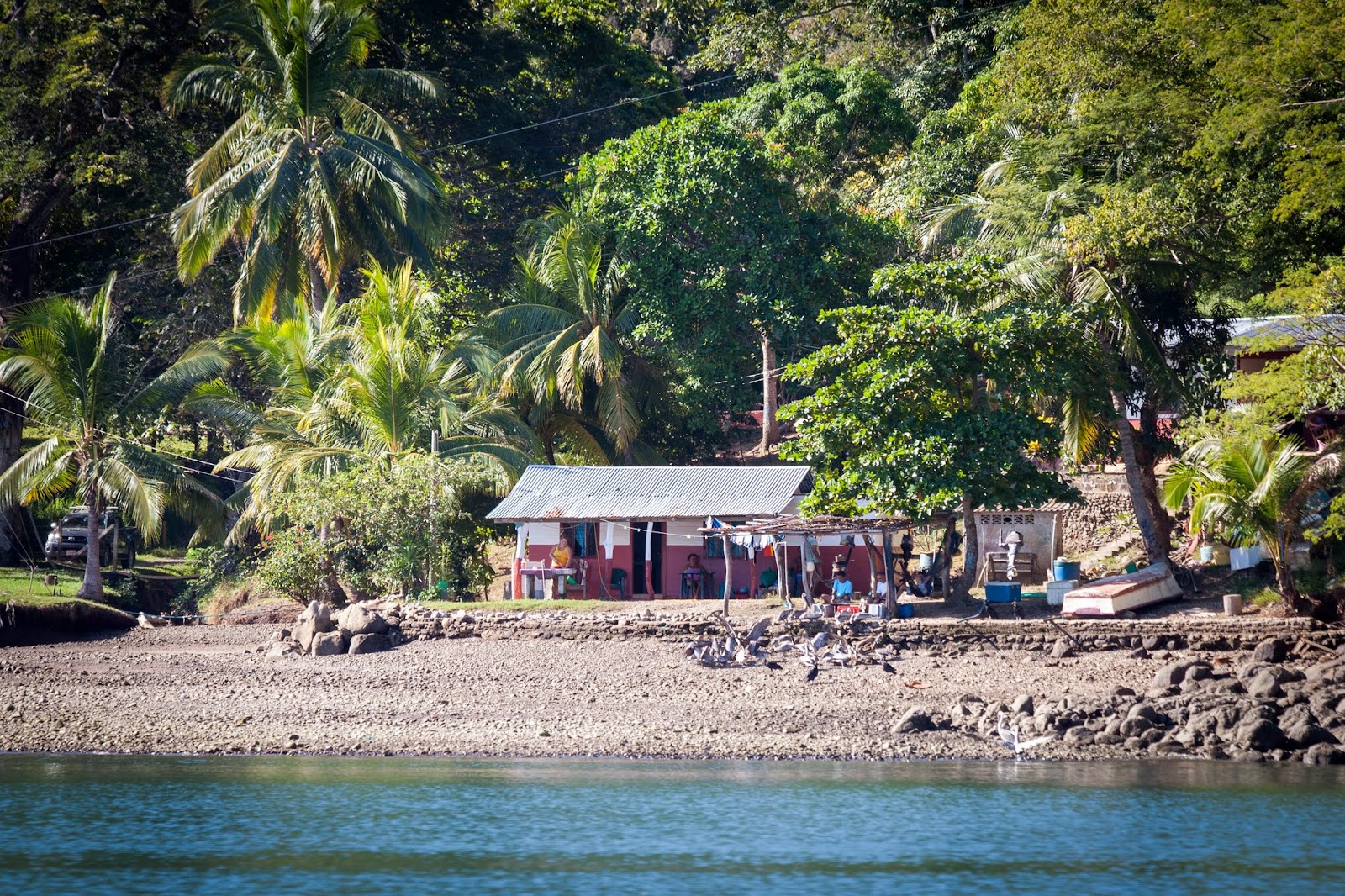 Pure Life in Costa Rica - Explore the World with Simon Sulyma