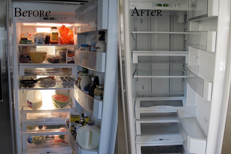 potd: 249: science experiment gone bad