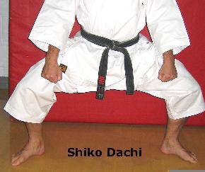 My journey to black belt: Some thoughts on stances...