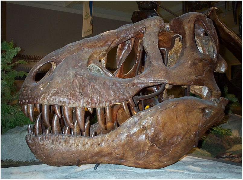 Design Context: Apex Predators. Prehistoric.