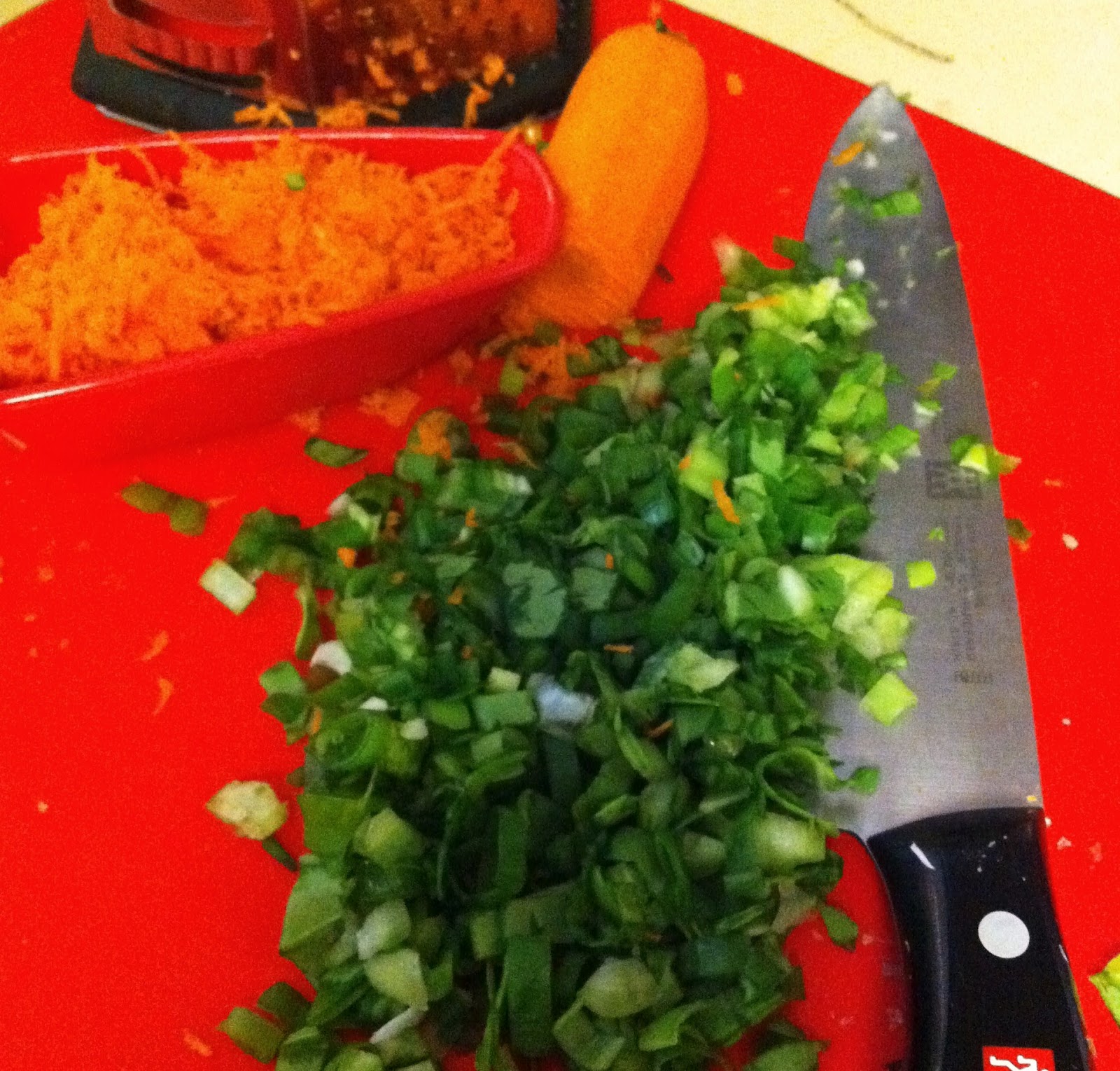 Biting The Hand That Feeds You: Filipino Lumpia Recipe - How to Use CSA ...