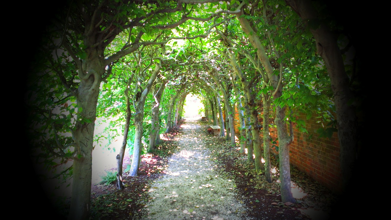 On the Lincoln Highway... and beyond with Chris Hutter.