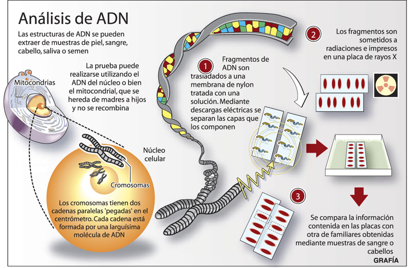 Ciencia del mundo contemporáneo: Ingenería genética