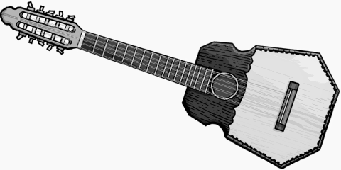 World musical instruments: Ronroco