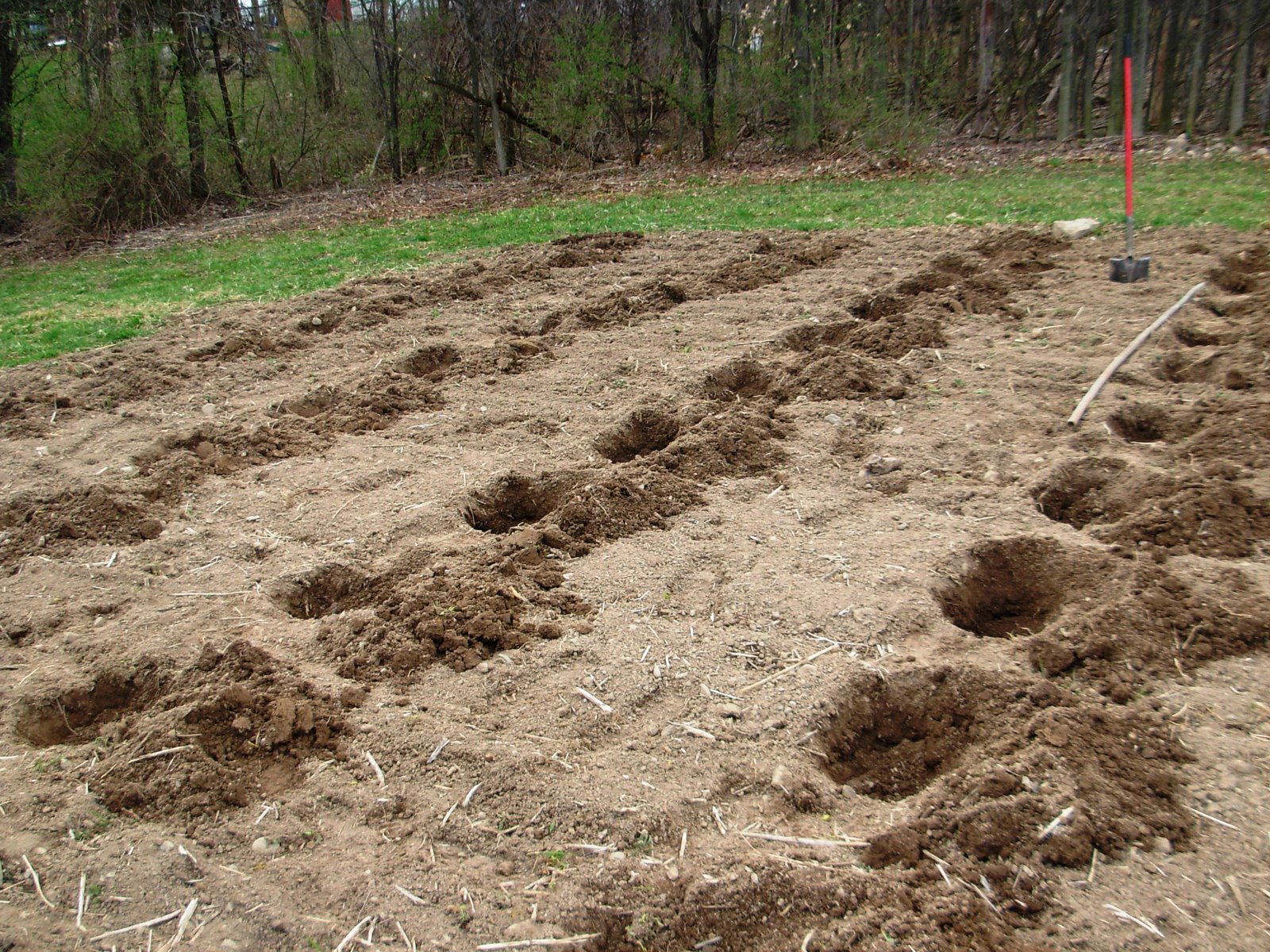 Schoolhouse Farms Learning and Growing on a Small Family Farm