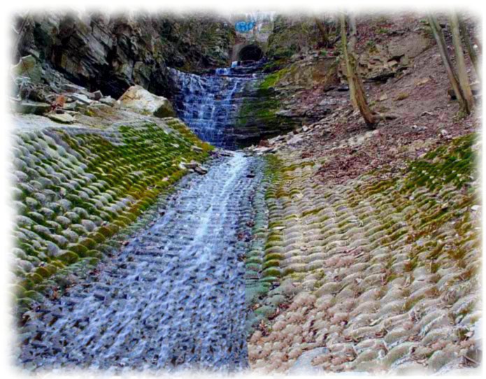 Mishy's Corner of the World: Mountview Falls, Hamilton