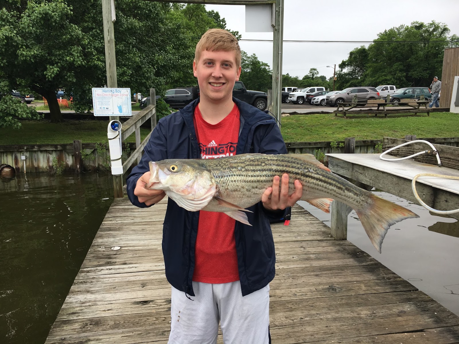 Photons and Electrons: Record Rockfish On Memorial Day 2017