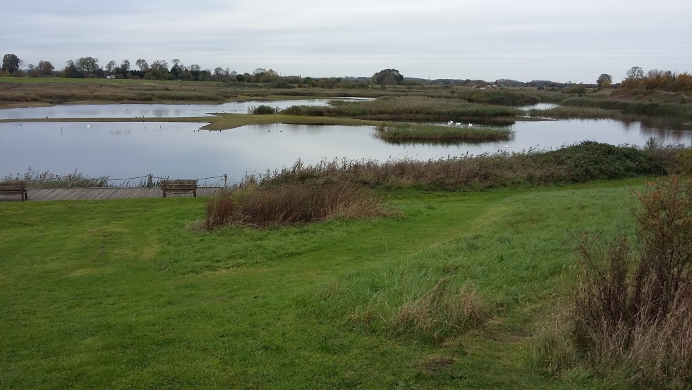 Vale of Belvoir Ramblers: Collingham and Langford Nature Reserve, 18th ...